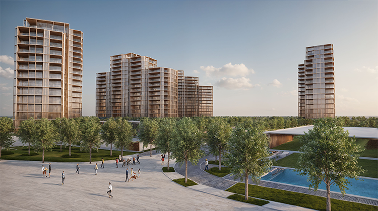 Portfolio - Spatial Factors